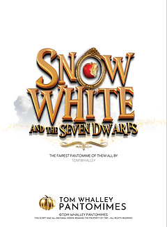 Tom Whalley Pantomimes | Hilarious & Award-winning Pantomime Scripts | United Kingdom